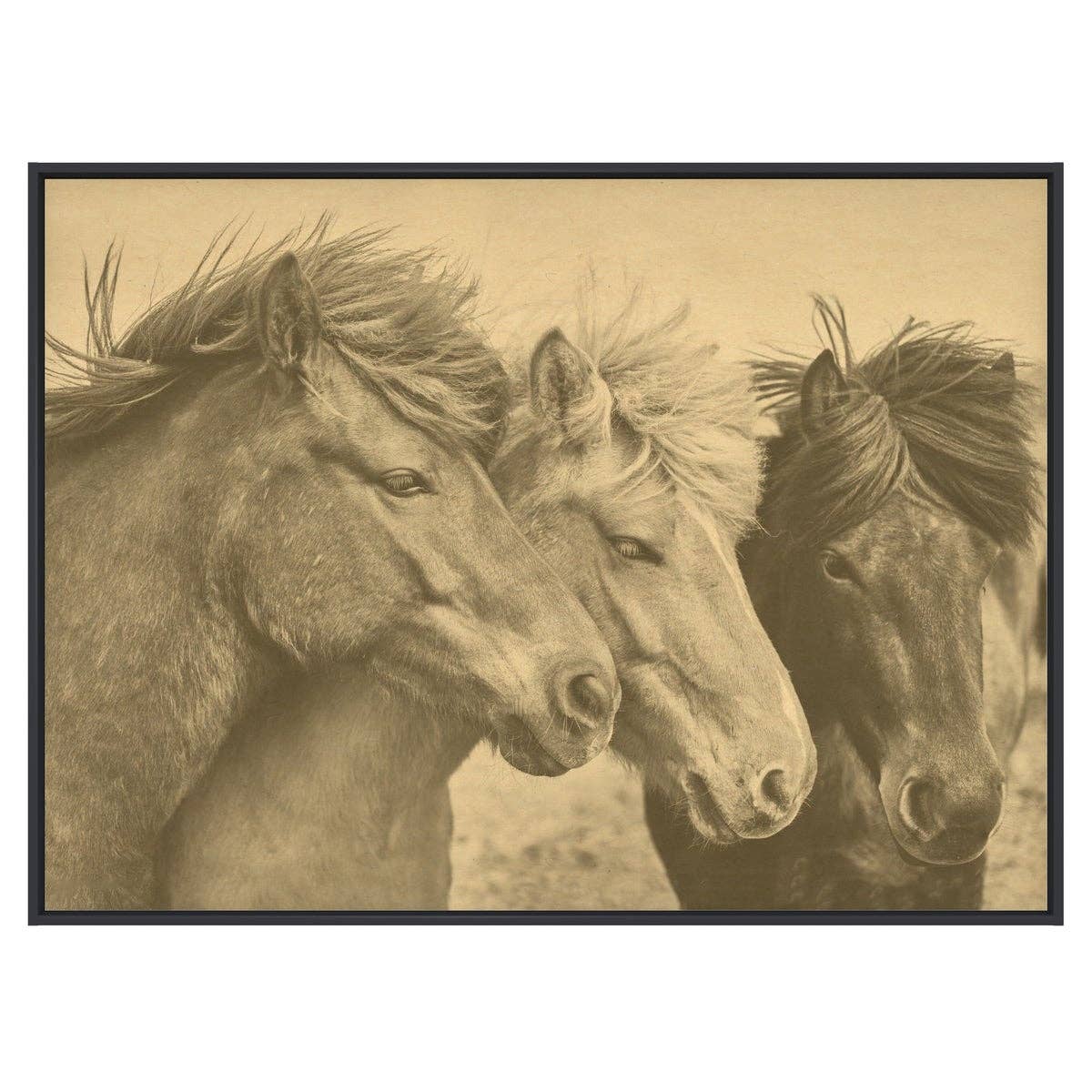 SPLASHWORKS - Hemp Panel Print - Three Horses: Black, 42x31" | Crow and ...