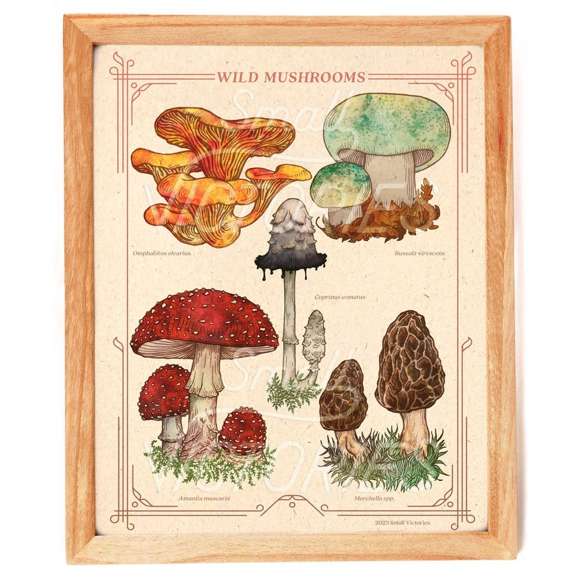 Small Victories - Wild Mushrooms Print | The Crow and Cactus Company